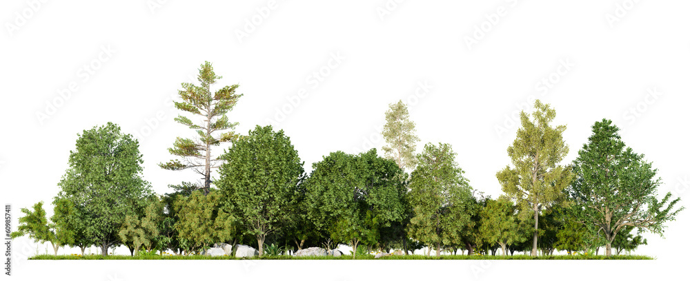 forest line PNG file transparent background, 3d illustration rendering ...