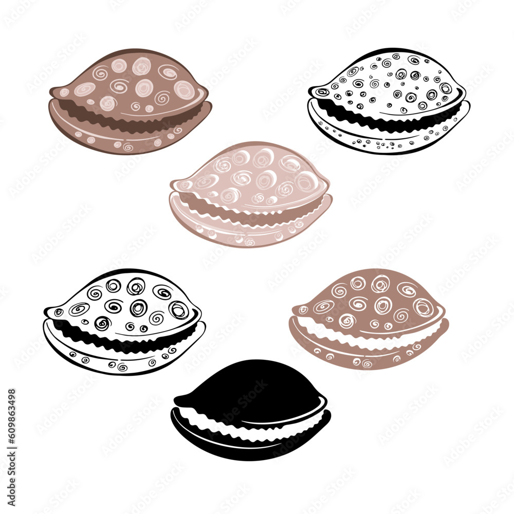 Shells. Hand drawn vector collection, 6 isolated elements on white ...
