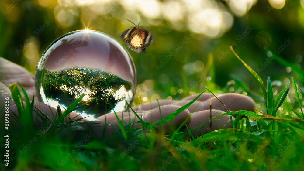 World environment day concept.Globe Glass with butterfly. circular ...
