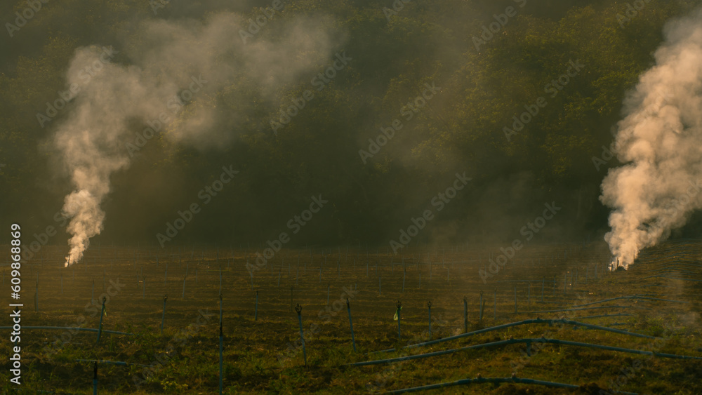 World Environment Day. Smoke, forest burning, pollution. environmental ...