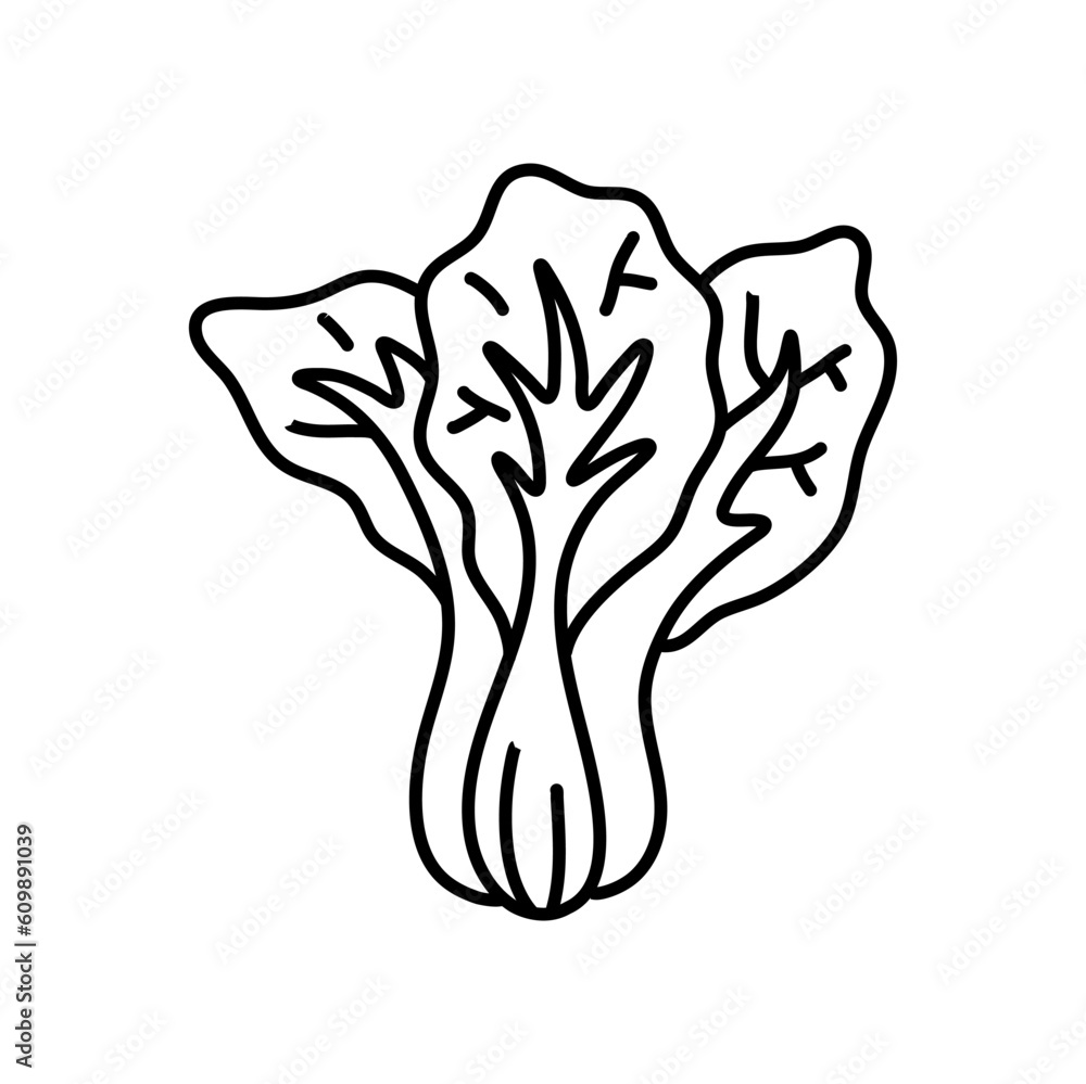 Pak choi outline icon vector illustration. Hand drawn line sketch of ...