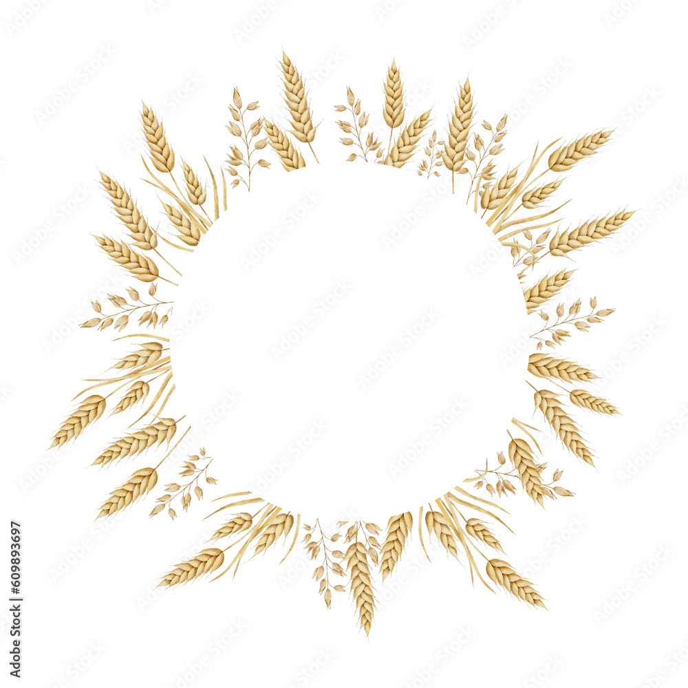 Spikelets of wheat, rye, grains seamless border. Botanical wreath ...