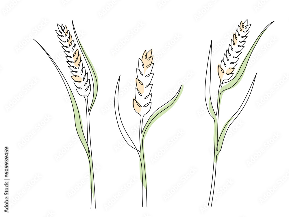 Wheat grain ear in one continuous line style. Single line colored ...
