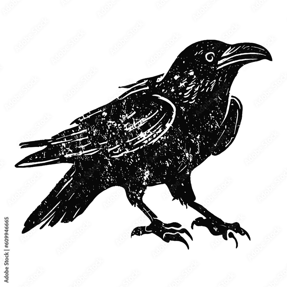 Vetor de raven grunge style sketch, crow do Stock | Adobe Stock