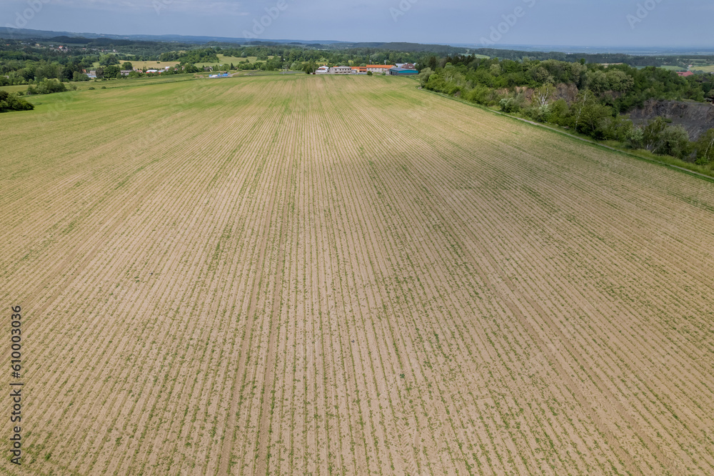 Field is sown with grain, grain grows. A bird's-eye view of the ...