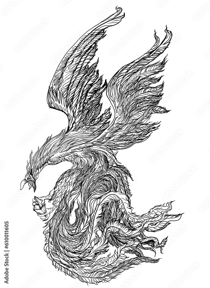 Phoenix Fire bird illustration and character design.Hand drawn Phoenix ...