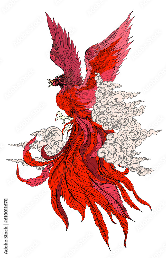 Phoenix Fire bird illustration and character design.Hand drawn Phoenix ...