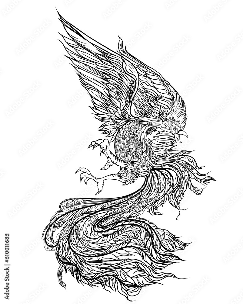 Phoenix Fire bird illustration and character design.Hand drawn Phoenix ...