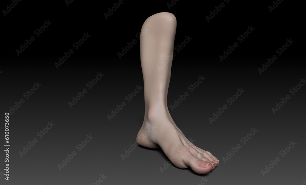 Female Foot Sculpt pose render of background. 3d rendering Stock ...