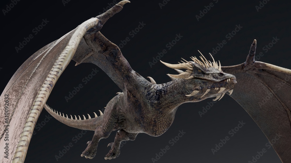 Wyvern type Dragon pose render of background. 3d rendering Stock ...