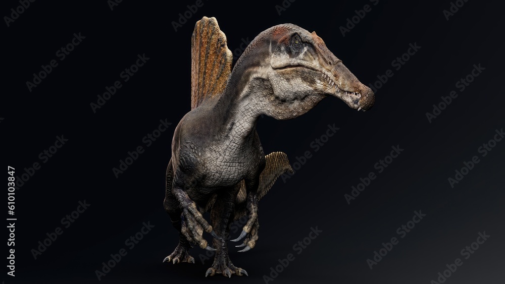 Spinosaurus pose render of background. 3d rendering Stock Illustration ...