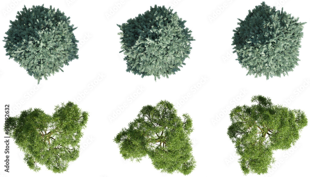 set of trees rendered from the top view, 3D illustration, for digital ...