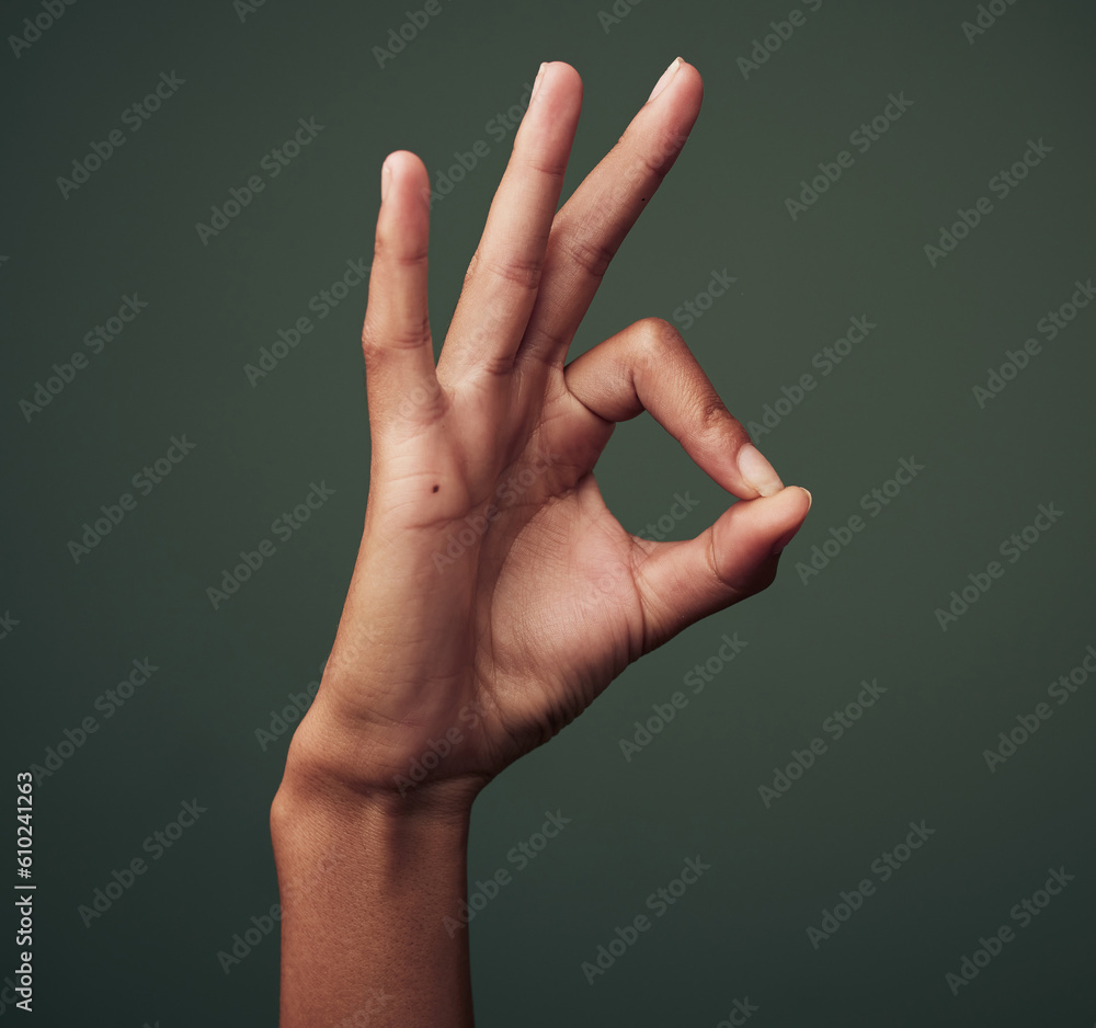 Person hand, OK gesture and emoji with agreement, approval and feedback ...