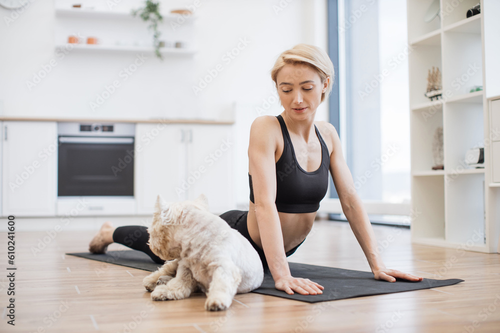 Attractive female in black outfit stretching in Cobra Pose while furry ...