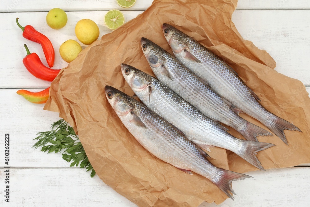 Mullet on paper, skull on the table,pelengas, Buri, Mugil cephalus ...