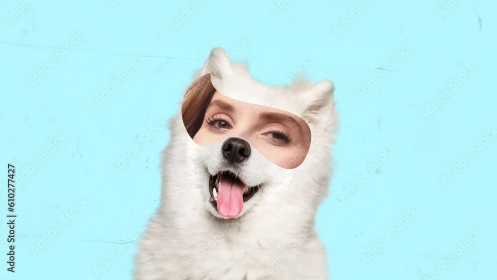 Beautiful, cute, little white dog with female eyes elements expressing ...