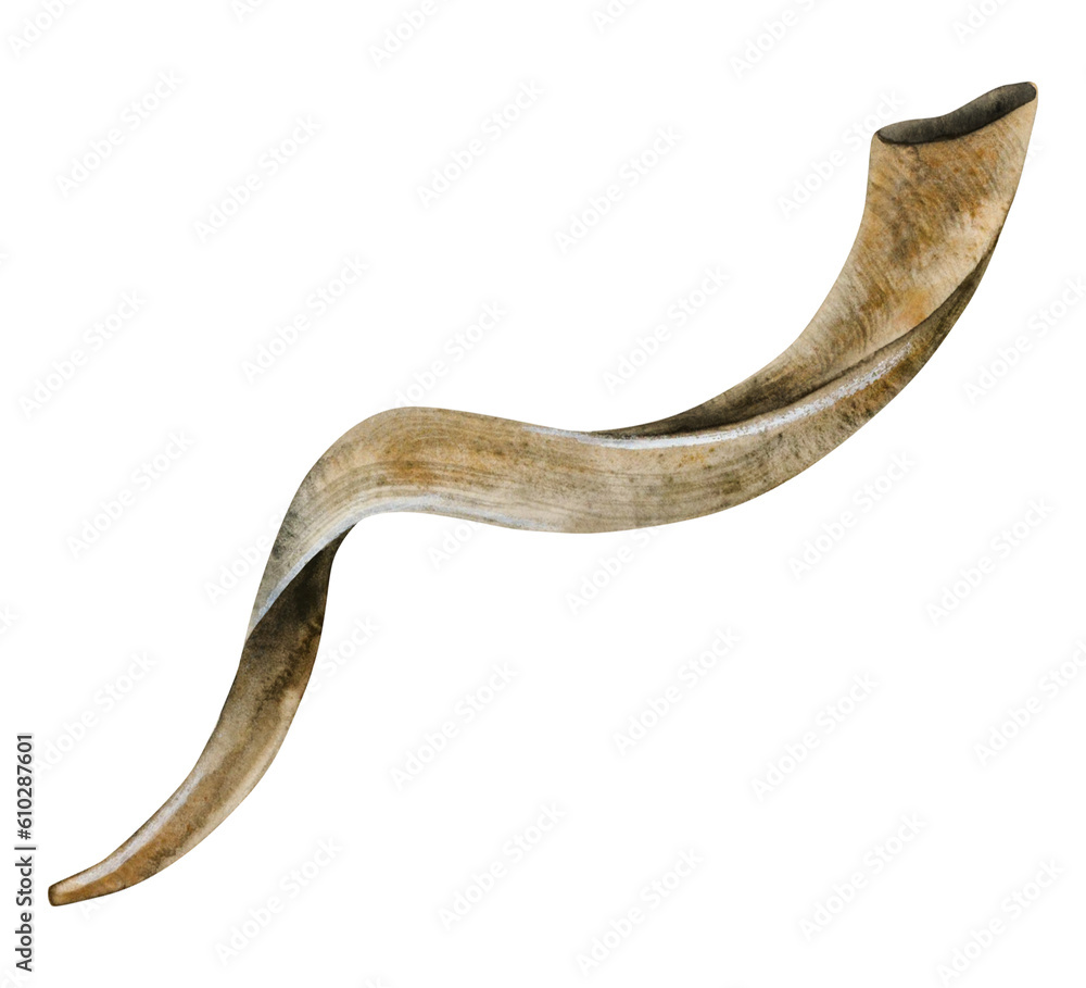 Shofar horn for Rosh Hashanah and Yom Kippur watercolor illustration ...
