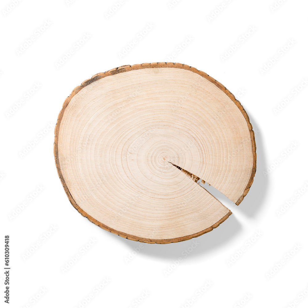 Wood slice isolated on a transparent background, PNG. High resolution ...