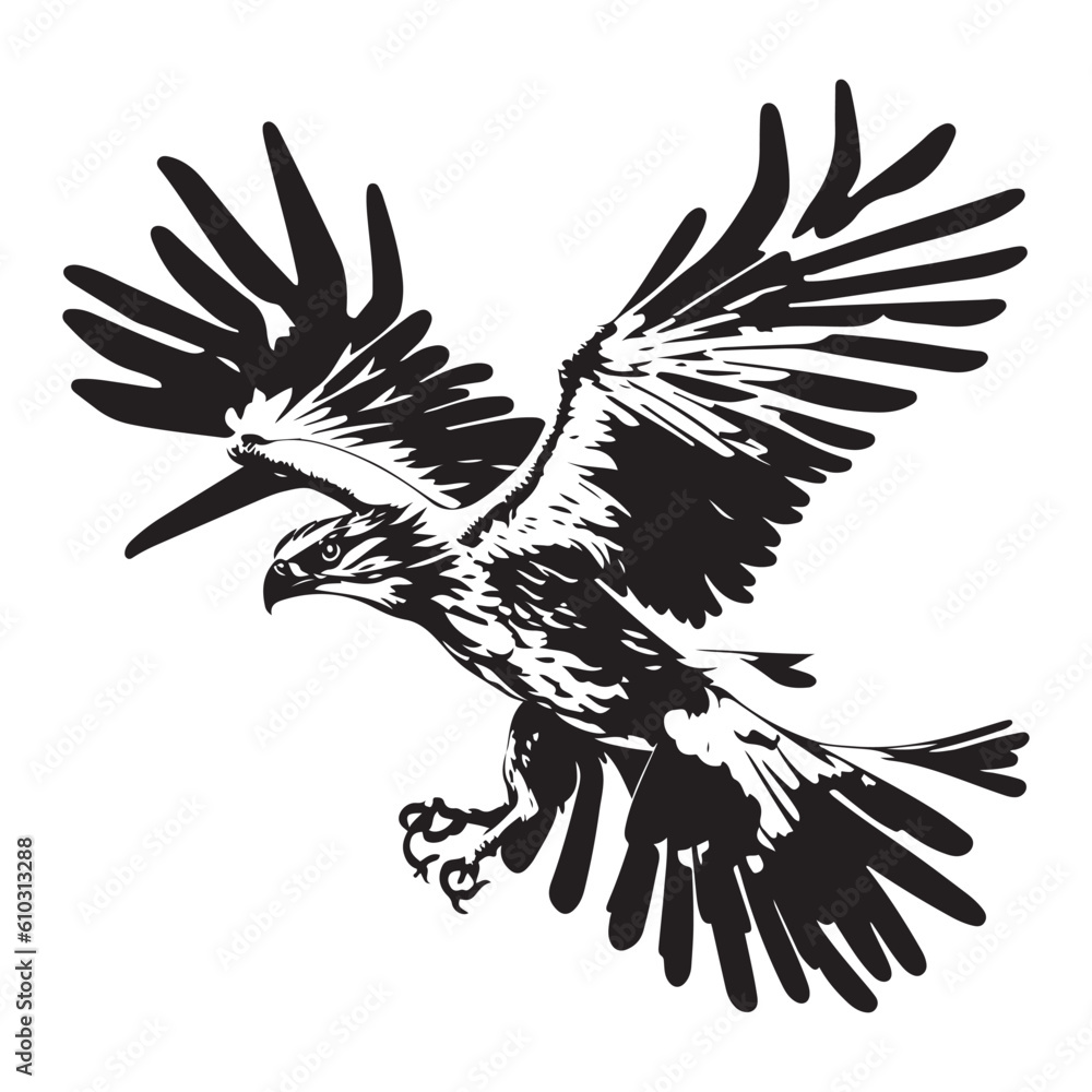 Flying Attacking Osprey Eagle Bird Silhouette Outline Vector. Eagle ...