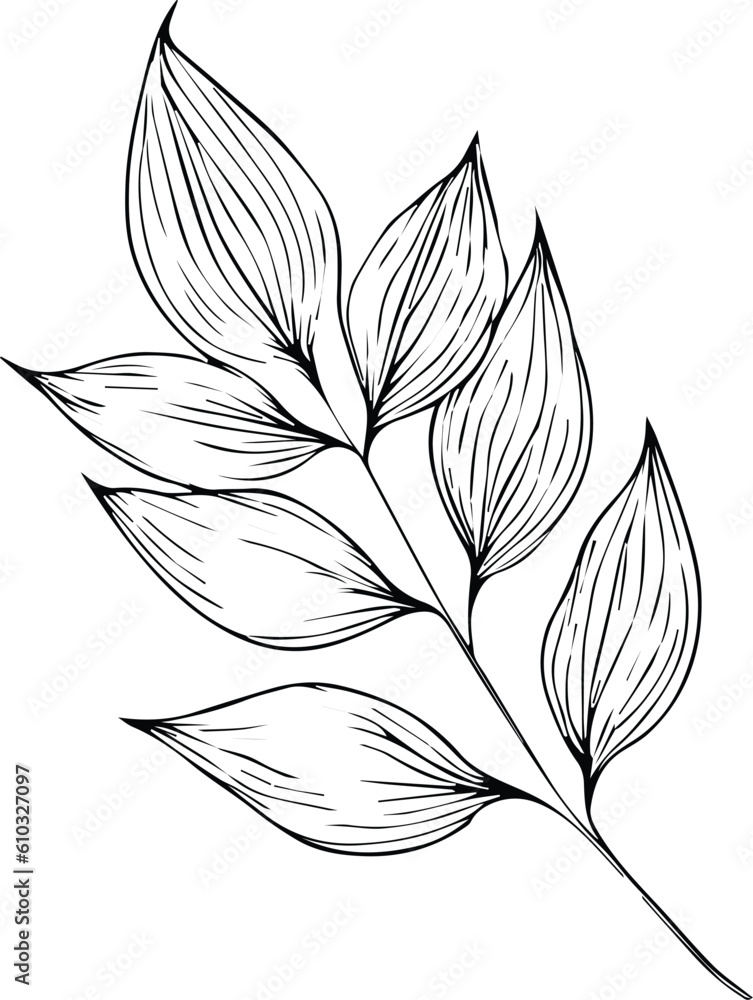 Vetor de botanical line art. wildflower botanical line art, vintage ...