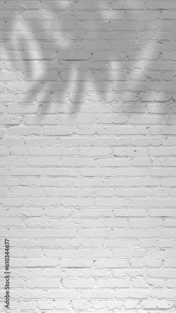 Vertical shadow of bamboo tree moving gently in the wind on white ...