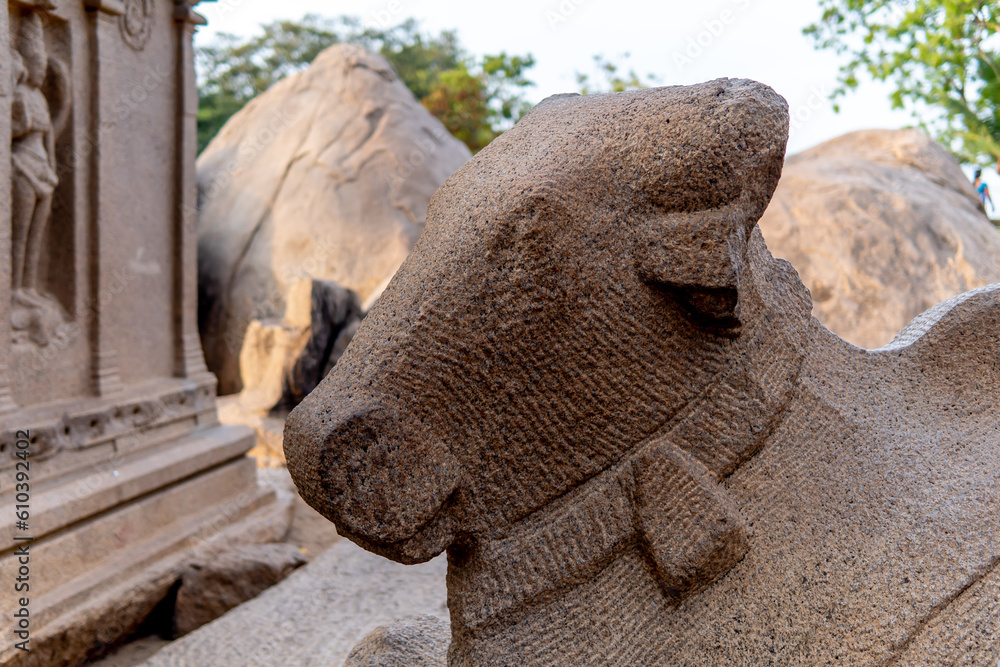 Nandi sculpture behind arjuna ratha at mahabalipuram on the coromandel ...