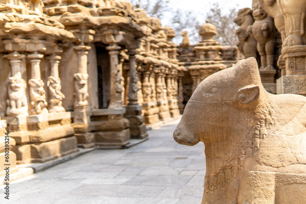 A majestic Nandi, the sacred bull, sits gracefully facing in the temple ...