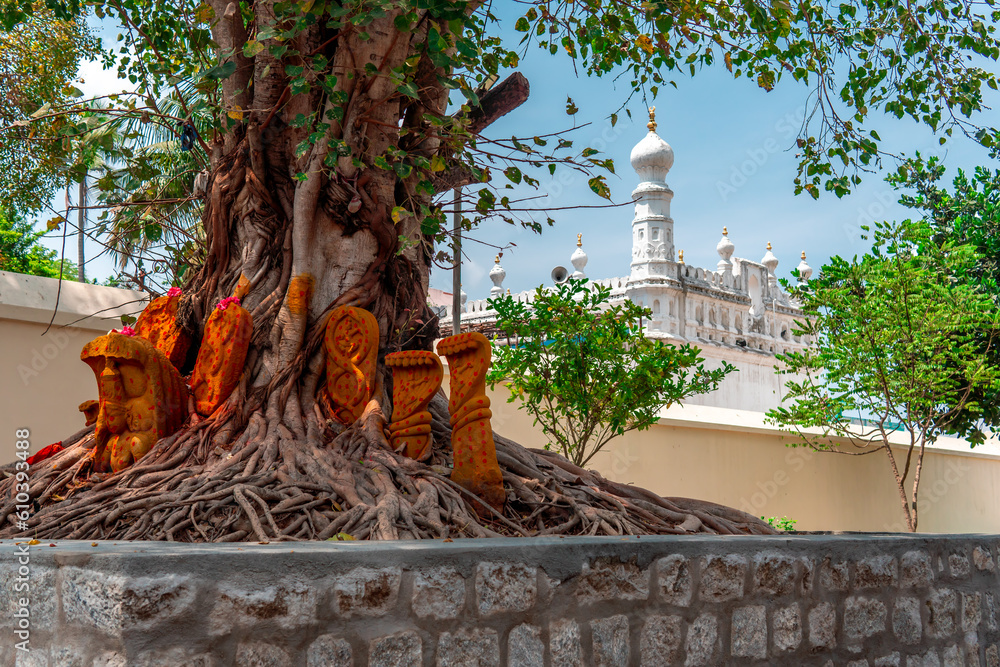Hindu temple under a peepal tree (Ficus religiosa or sacred fig), set ...