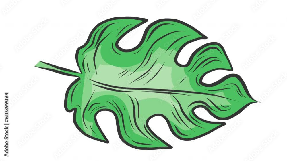Hand Drawn Animated Fresh Palm Leave Isolated on White Background ...