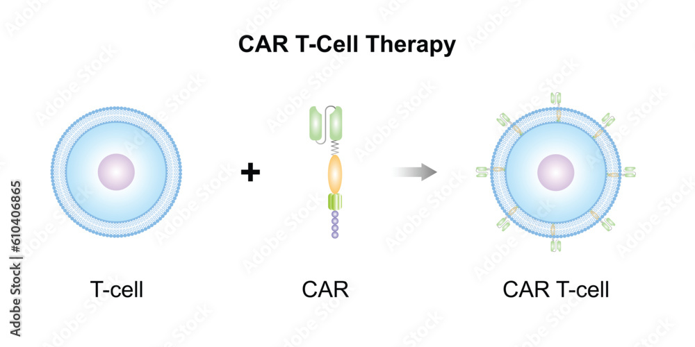 Vetor de Scientific Designing of CAR T-cell Therapy. Vector ...