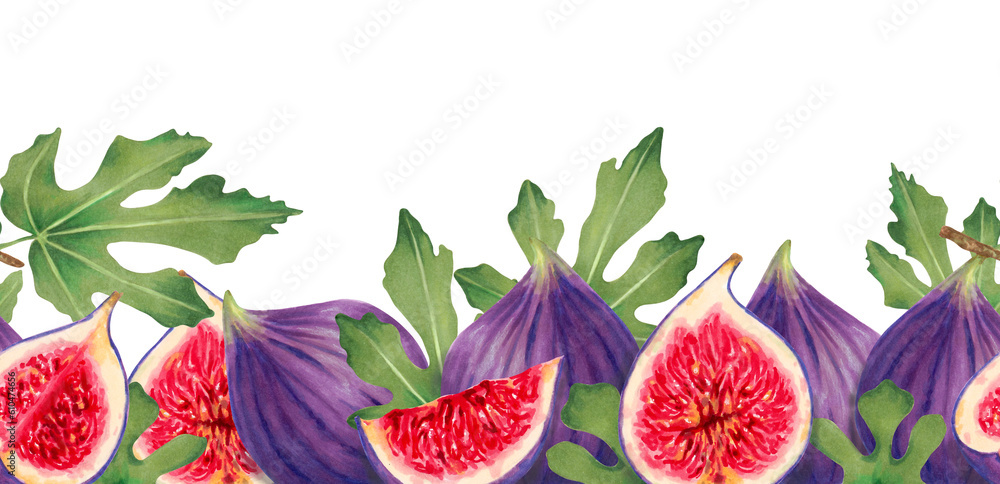 Figs fruit border. Half, whole, pieces of purple fig with leaves ...