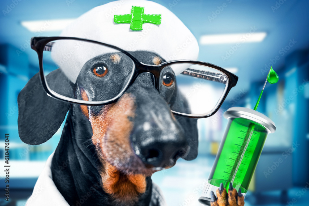 Dog in medical cap with cross, glasses holds injection with a needle ...