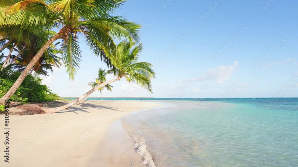 Maldives tropical beach and sea with coconut trees on a paradise island ...
