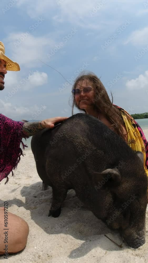 Man and woman cuddling with a wild Pig at the beach in an island in ...