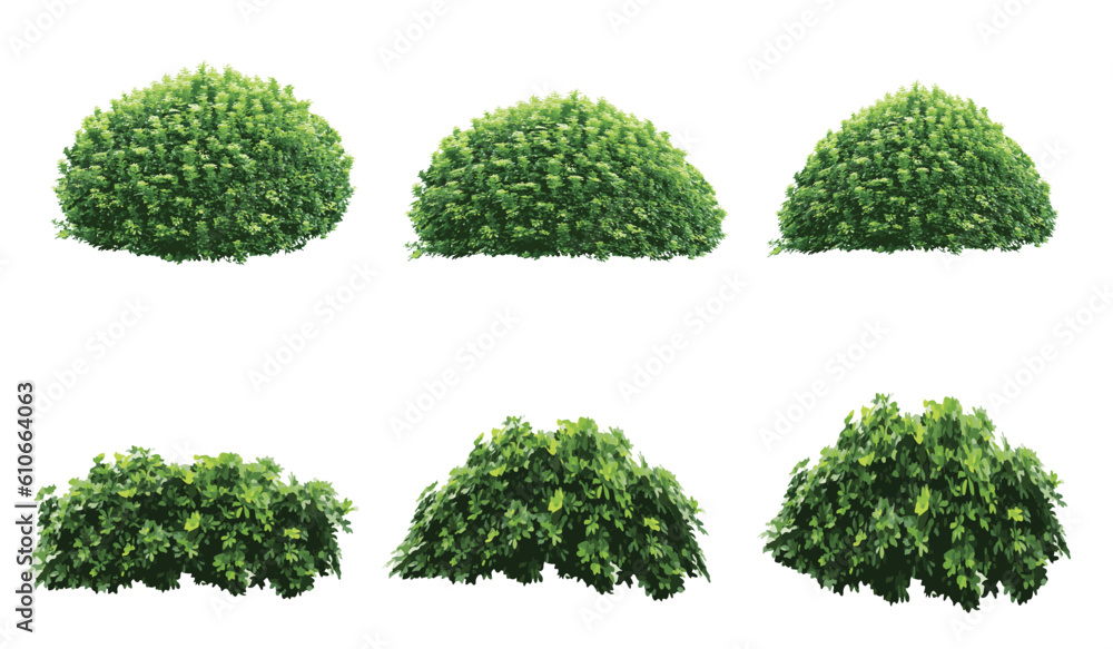 set of bush grass shrub illustration vector transparent background eps ...