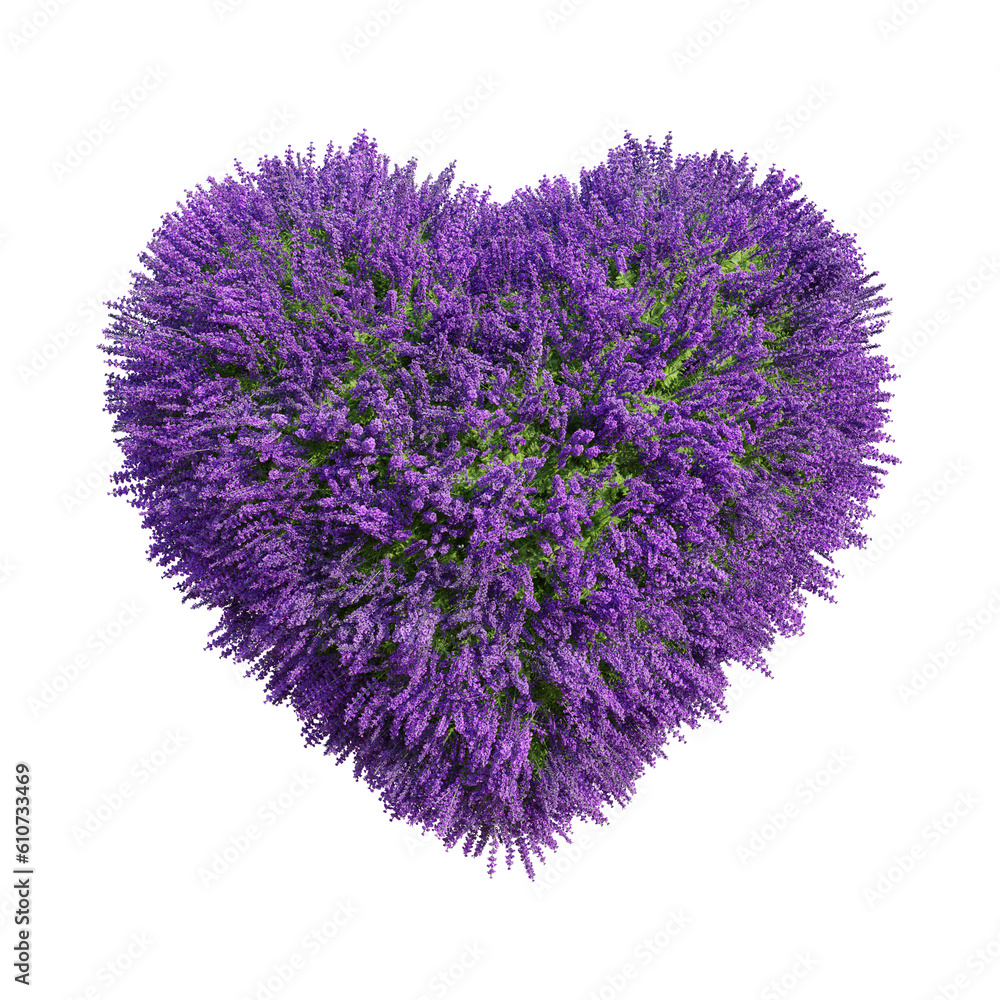Natural heart shape tree and lavender flowers with isolated on ...