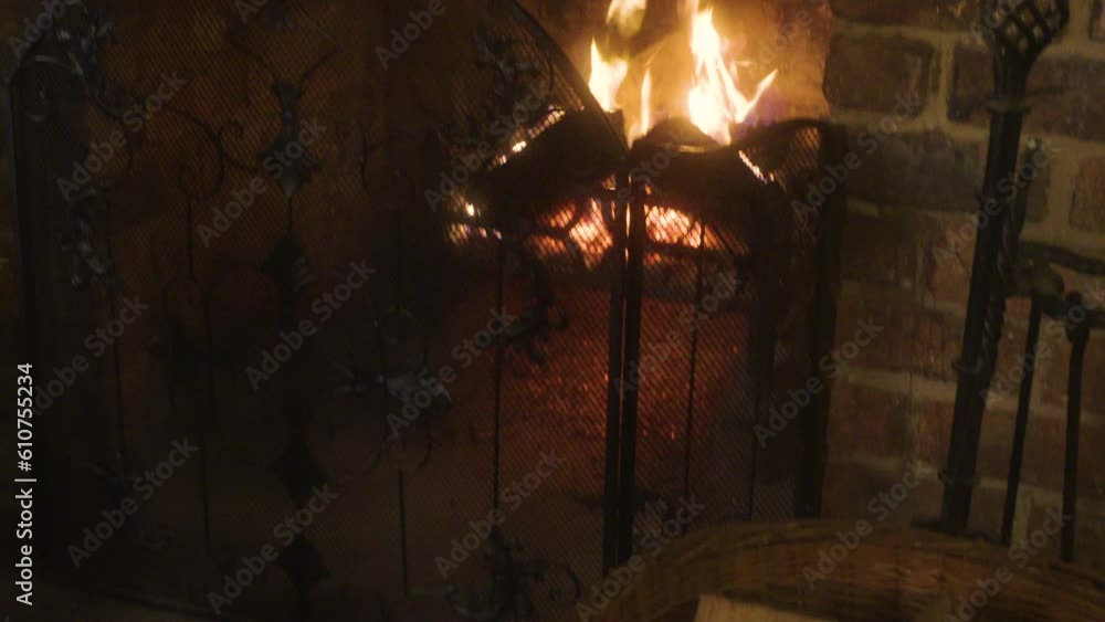 Vidéo Stock A real fire, with black metal fire guard, in a cosy room ...
