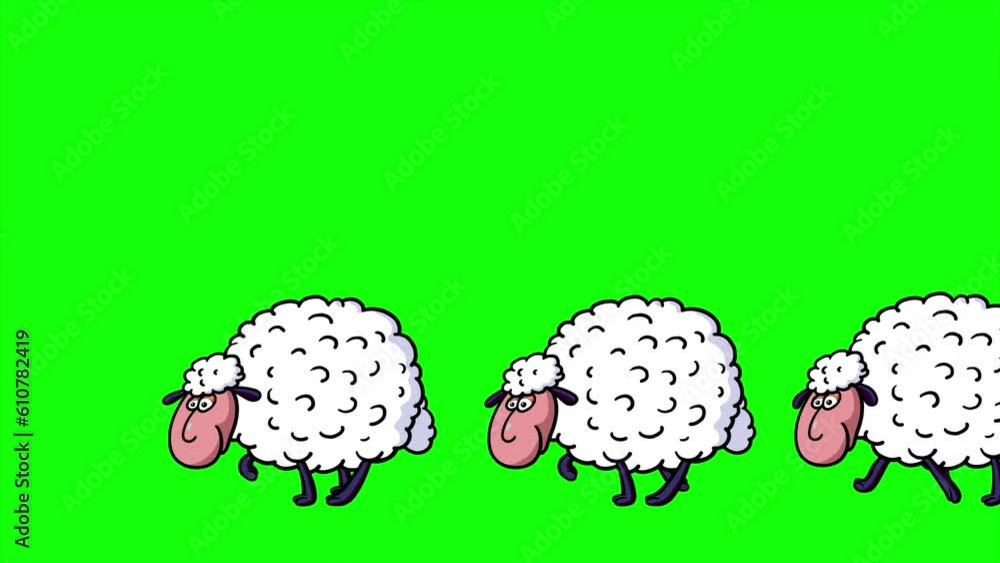 Sheep white walking one after another in one line isolated greenbox ...