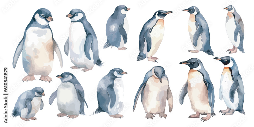 watercolor penguin clipart for graphic resources Stock Vector | Adobe Stock