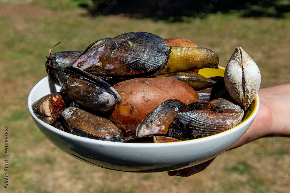 Plato de Curanto tradicional al hoyo, en Calbuco, sur de Chile foto de ...