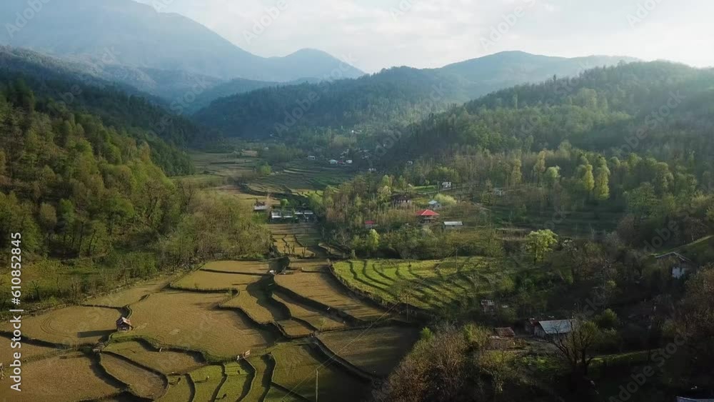 Traditional farmers in old organic agriculture plow the farm land with ...