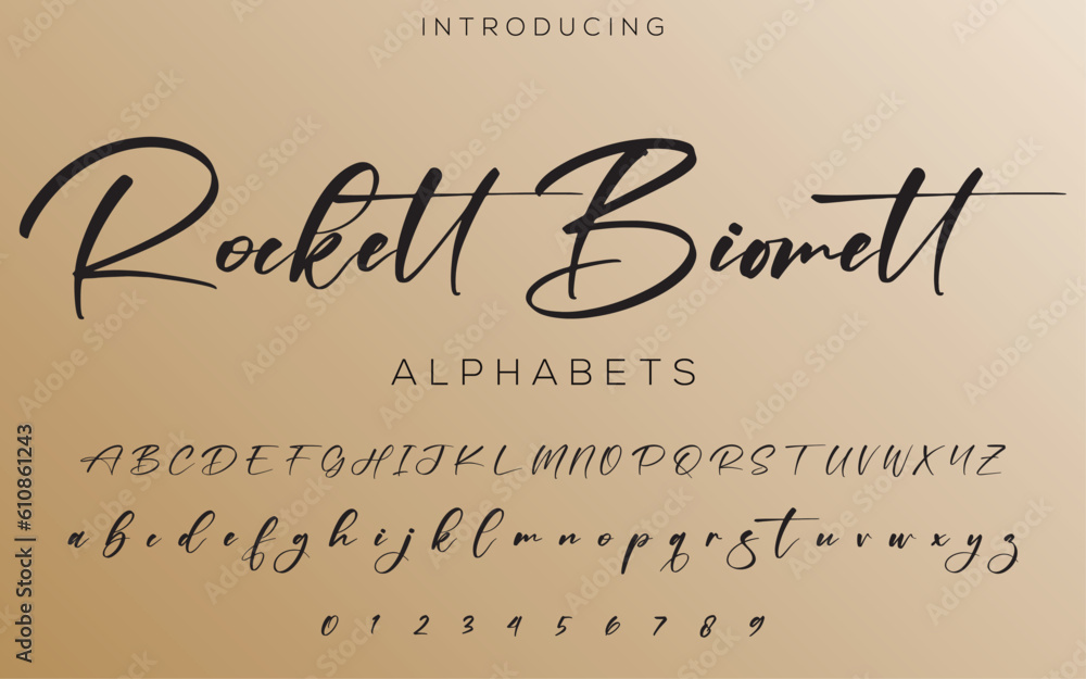 Signature Font Calligraphy Logotype Script Brush Font Type Font ...