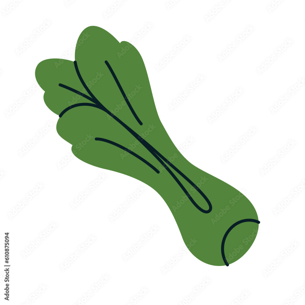 Bok choy icon, vector doodle illustration of chinese cabbage, green pak ...