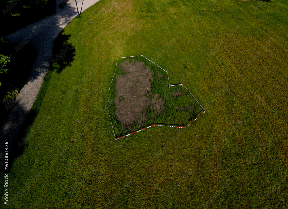 repair of damaged lawns after installation of automatic irrigation ...