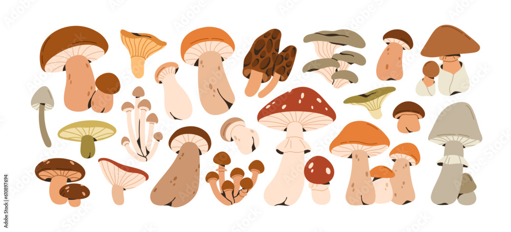 Mushrooms set. Autumn forest plants. Fall season food, raw healthy ...