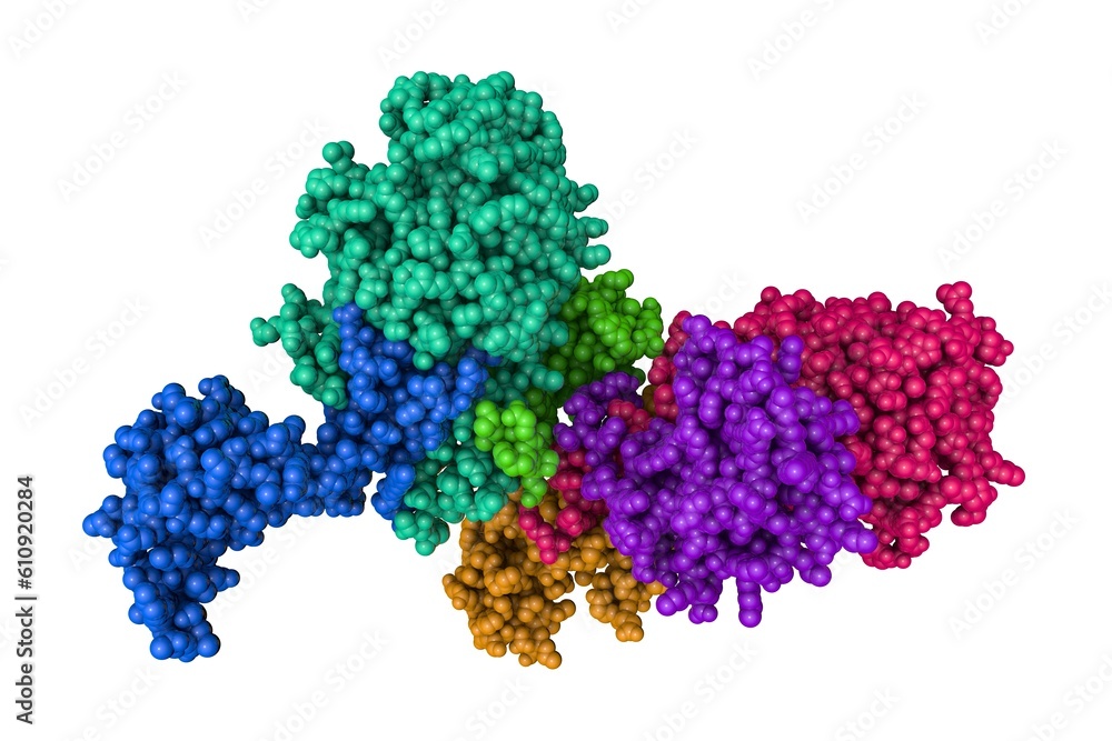 Stockillustratie Penicillin-binding protein 2X (PBP 2X) acyl-enzyme ...