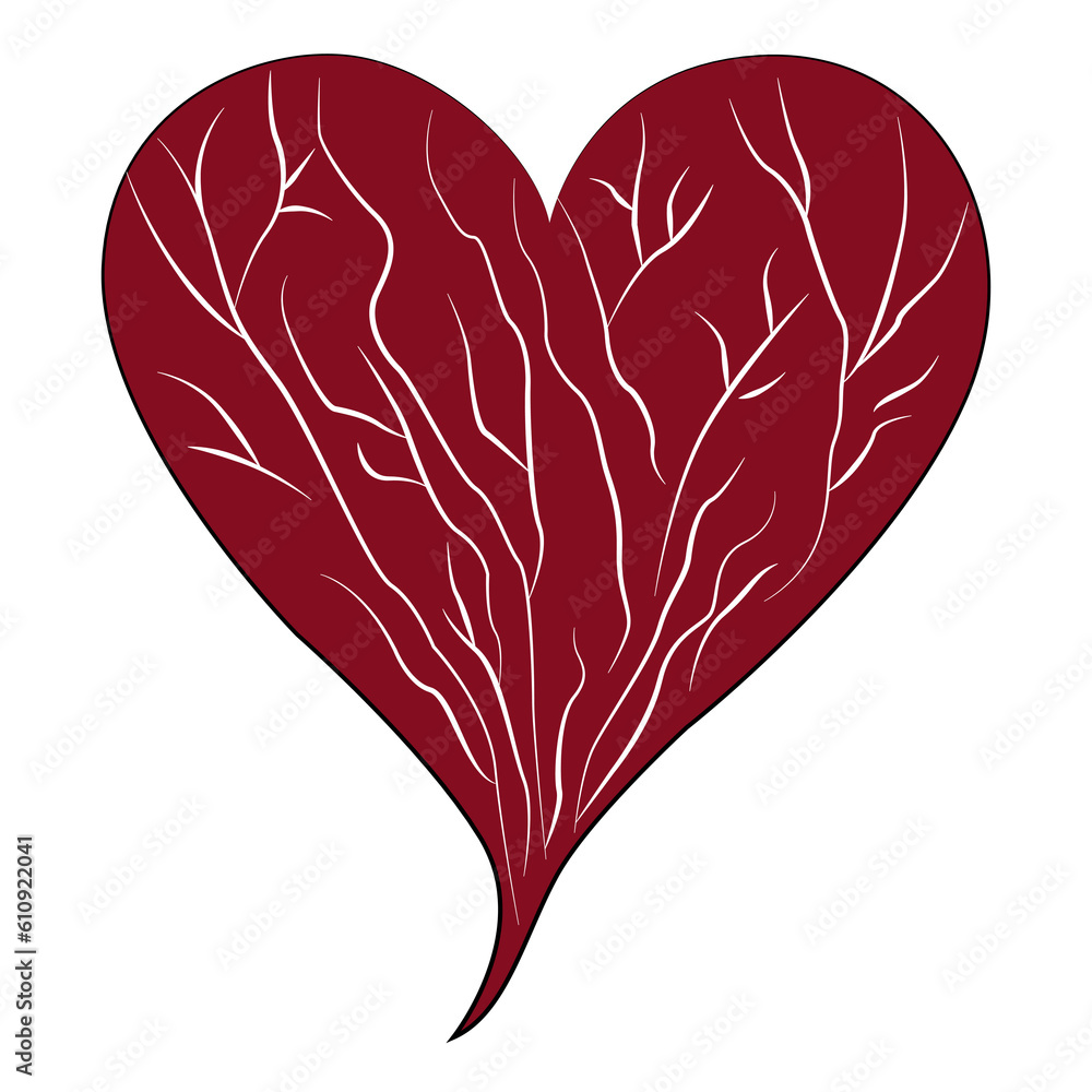 Heart and white blood vessel isolated design on transparent background ...