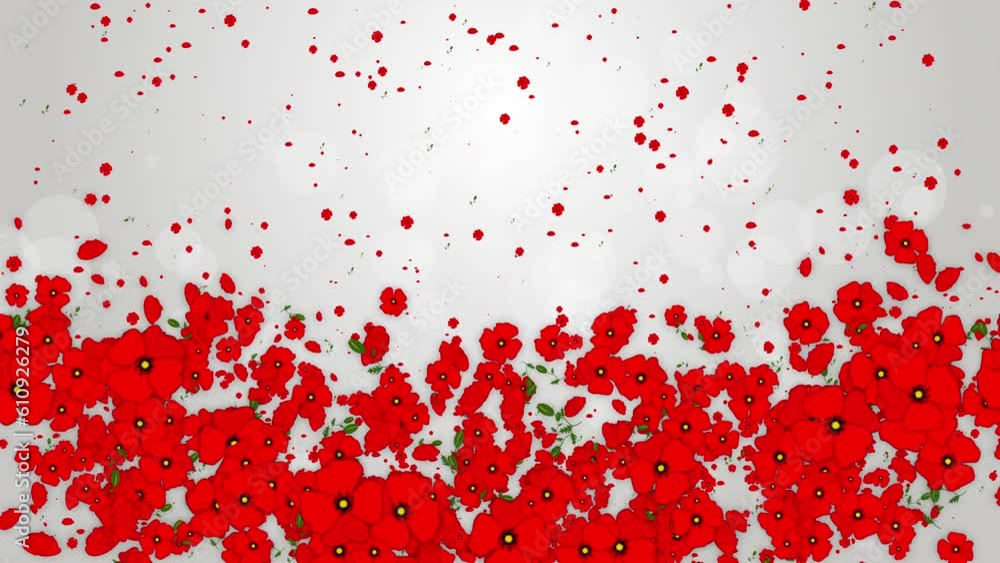 Pattern red poppy flowers with leaves. Graphic floral elements move and ...