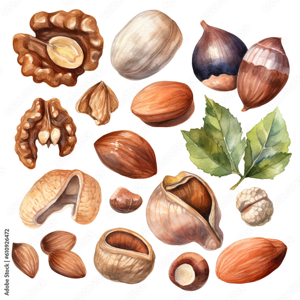 Nuts clip art, watercolor nuts, watercolor clip art, nuts closeup ...
