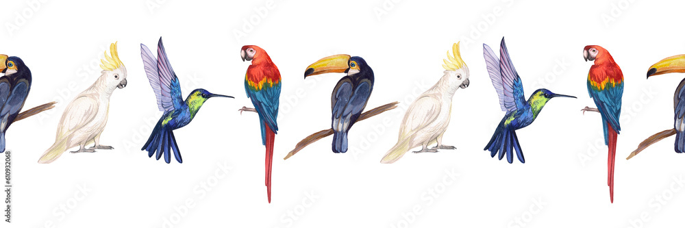 Watercolor seamless border with tropical birds on a white background ...